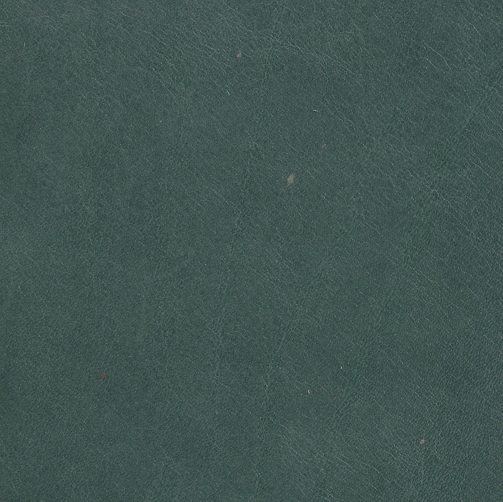 Legacy Swatch - GRADE 5 - Dallas - Jade – Leather and More in Hickory NC